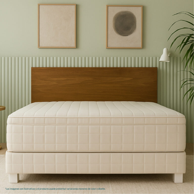 CUSTOM SPRING FLEX – Dreamo